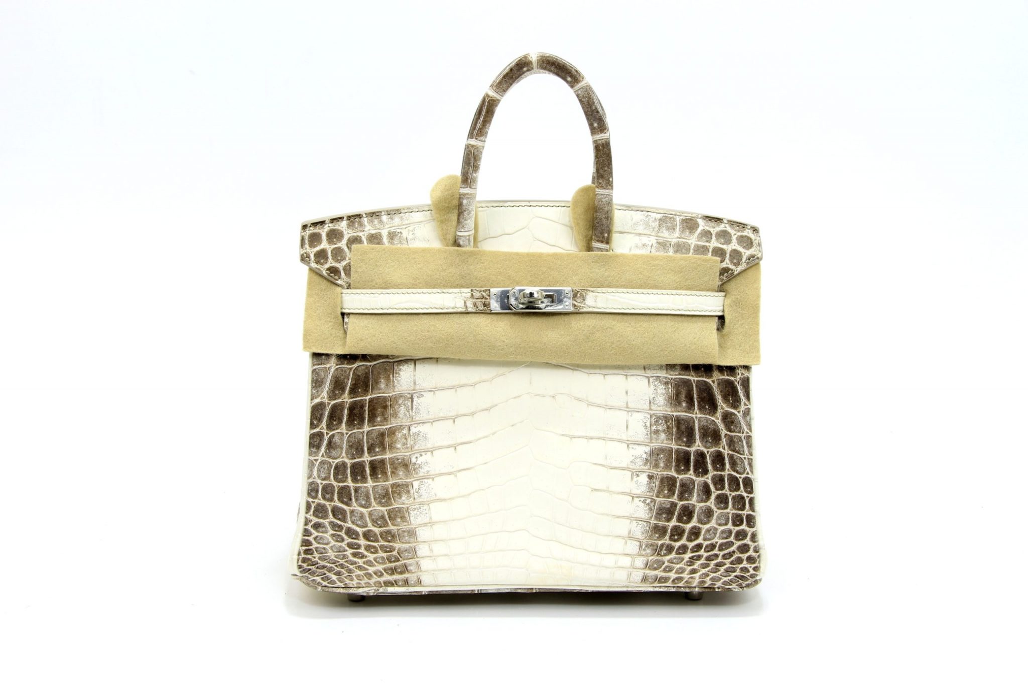 Hermes Birkin 25 Himalaya | MCA Luxury Bags